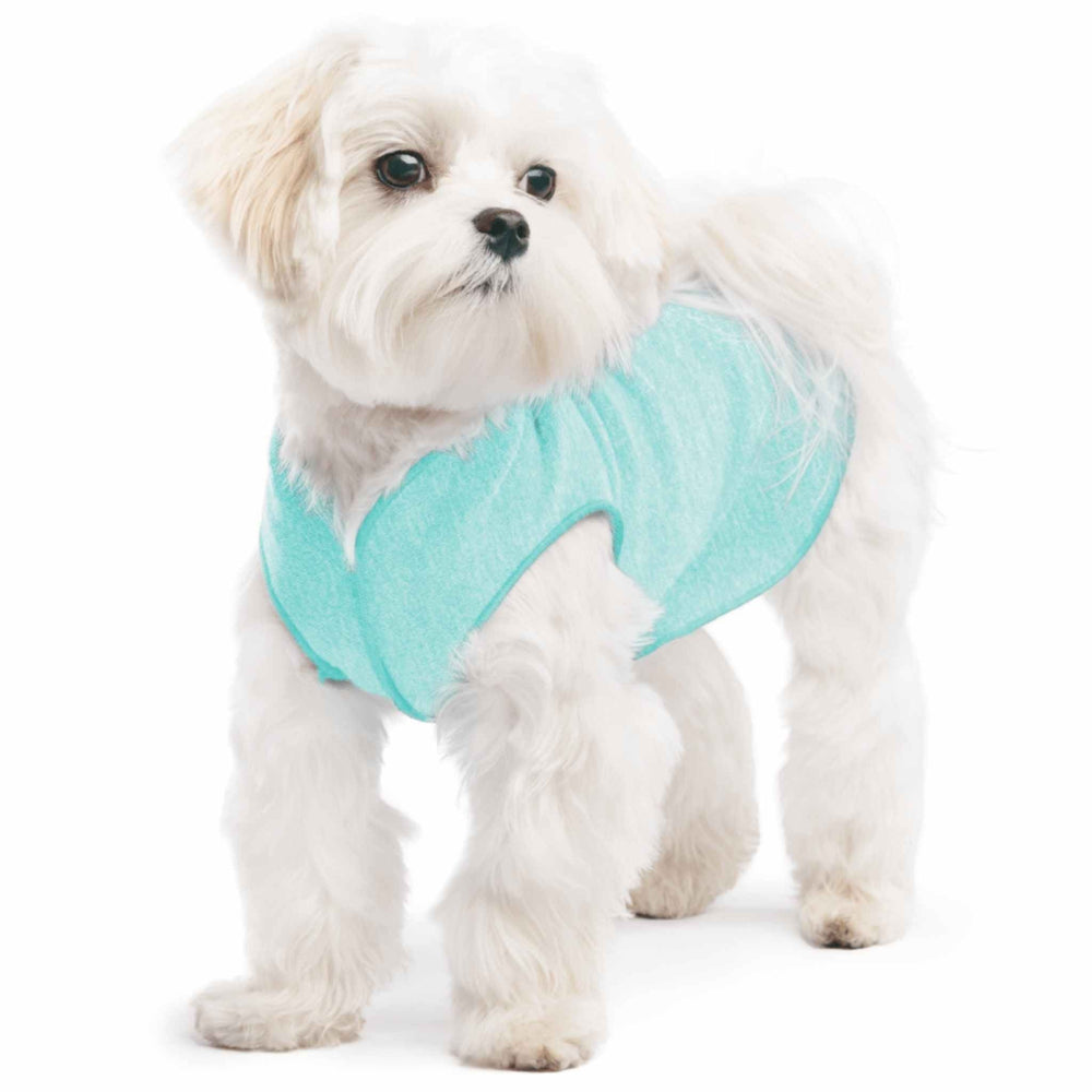 UV Protective Dog Sun Shirt | Gold Paw Sun Shield Tee - DinkyDogClub