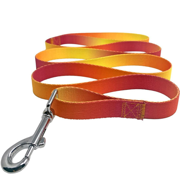 Raspberry Pink and Orange American River Ombre Dog Leash - DinkyDogClub