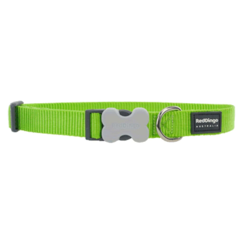 Red Dingo Small Dog Collars - Solid Colors | DinkyDogClub
