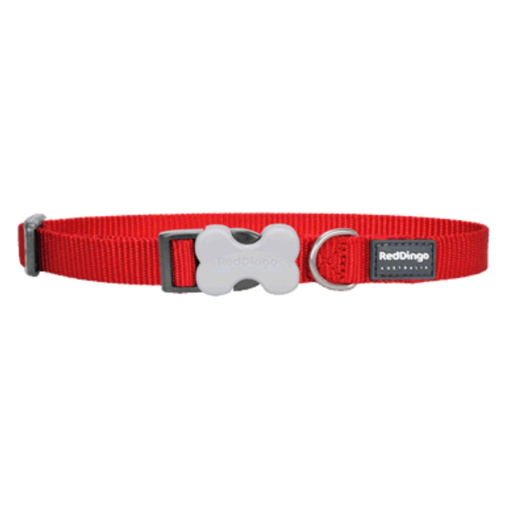 Red Dingo Small Dog Collars - Solid Colors | DinkyDogClub